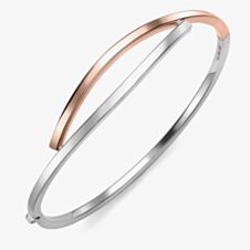 Ladies Bangles Collection